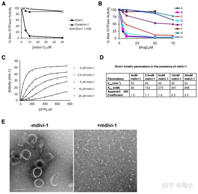 线粒体分裂抑制剂——Mdivi-1【TargetMol】 - 知乎
