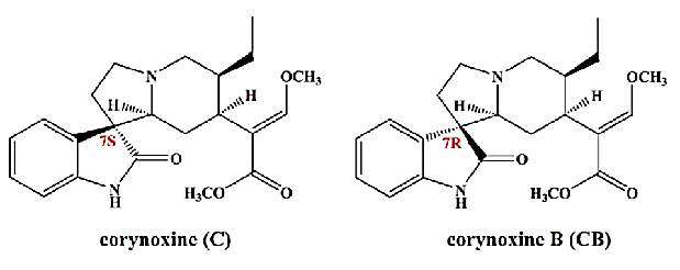 想get更多免疫检测技术？毛细管电泳了解一下-测试狗·科研服务