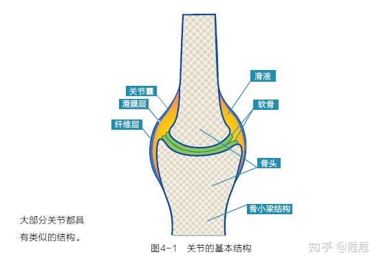 一文读懂关节炎，不知道就悲剧了 - 知乎