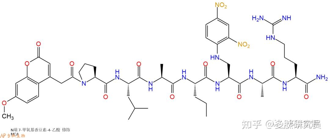 基质金属蛋白酶MMP介绍及汇总 - 知乎