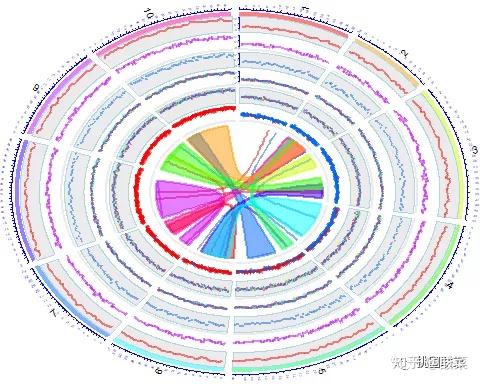 不容错过！CNS级别的多组学Circos图是怎么做的？简单又实用，这个美图技能你必须get！ - 知乎