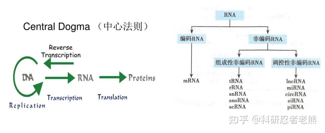 一文了解单细胞RNA测序原理 - 知乎