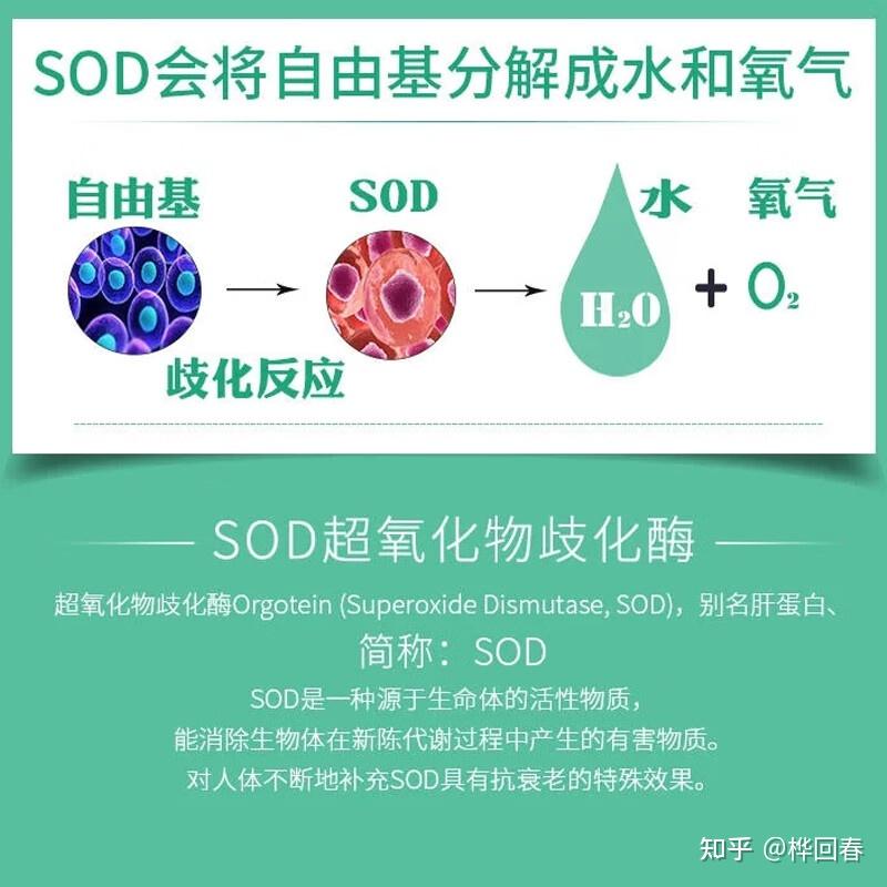 SOD小讲堂（一）：SOD的认识和应用史 - 知乎