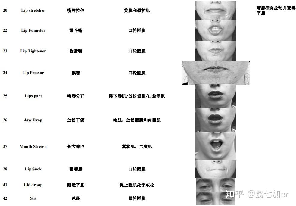 FACS-Facial Action Coding System 面部表情编码系统 各AU(Action Unit)说明 - 知乎