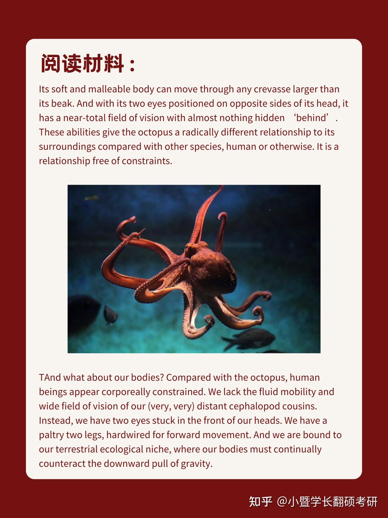 【阅读材料分享】| Octopus Time by David Borkenhagen-Ⅰ - 知乎