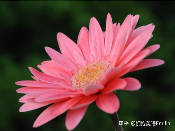 Class,class的意思,class单词讲解,class有关的短语搭配,class的合成单词,class的词组 知乎