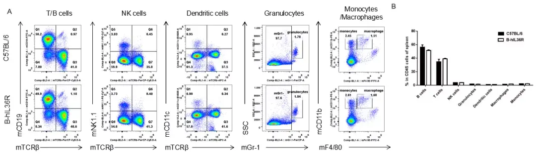 罕见型银屑病治疗新时代，靶向IL-36R研究已就位 - 知乎