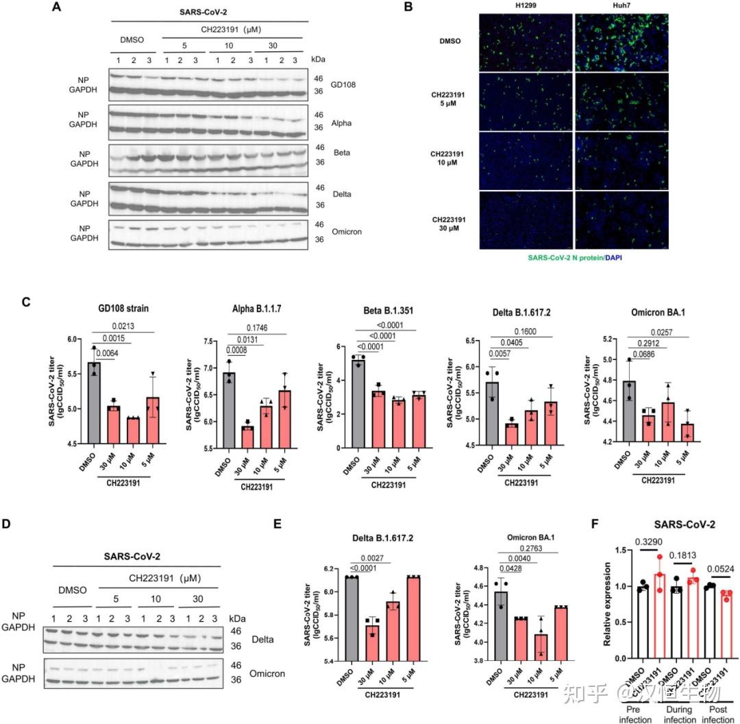 Science Advances|AhR或可成为新型冠状病毒感染治疗靶标 - 知乎
