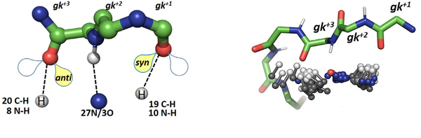 再谈hinge-binding - 知乎
