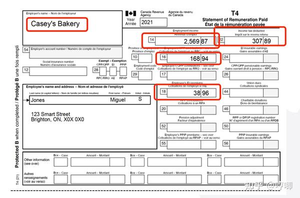 加拿大报税攻略 - 知乎