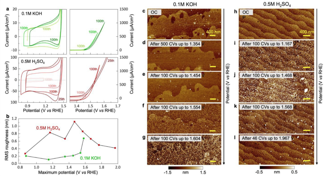 AFM在不同领域的应用 - 知乎