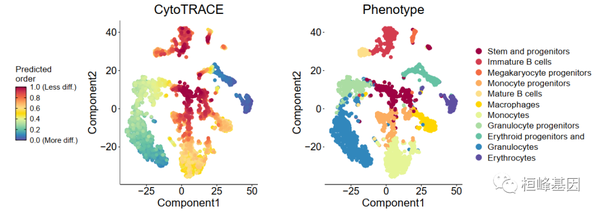SCS【12】单细胞转录组之评估不同单细胞亚群的分化潜能 (Cytotrace) - 知乎
