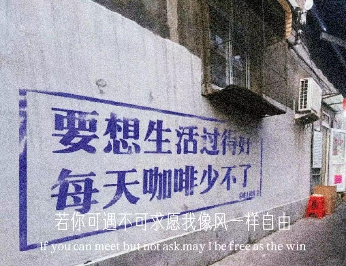 近期很喜欢的文案 知乎