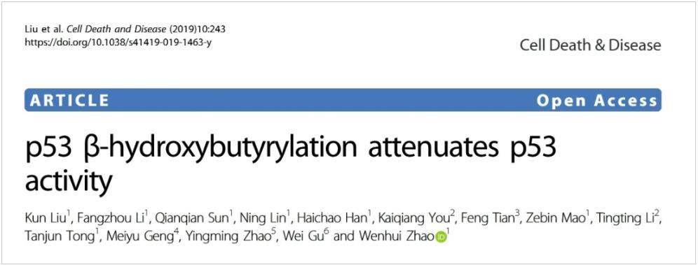 肿瘤代谢有新解，赖氨酸3-羟基丁酰化“斩断”癌细胞粮草 - 知乎