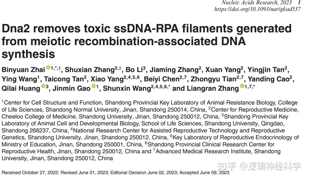 NAR︱山东大学张亮然/王顺心团队揭示Dna2移除减数分裂细胞中ssDNA-RPA纤丝的分子机制 - 知乎