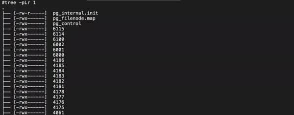 PostgreSQL 数据目录深度揭秘 - 知乎