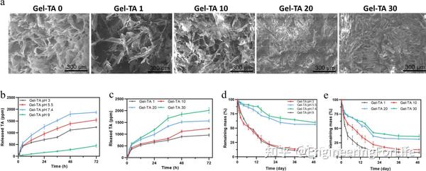 《Carbohyd. Polym.》：加点单宁酸，破解HRP介导水凝胶交联时H2O2和酚自由基抑制难题 - 知乎