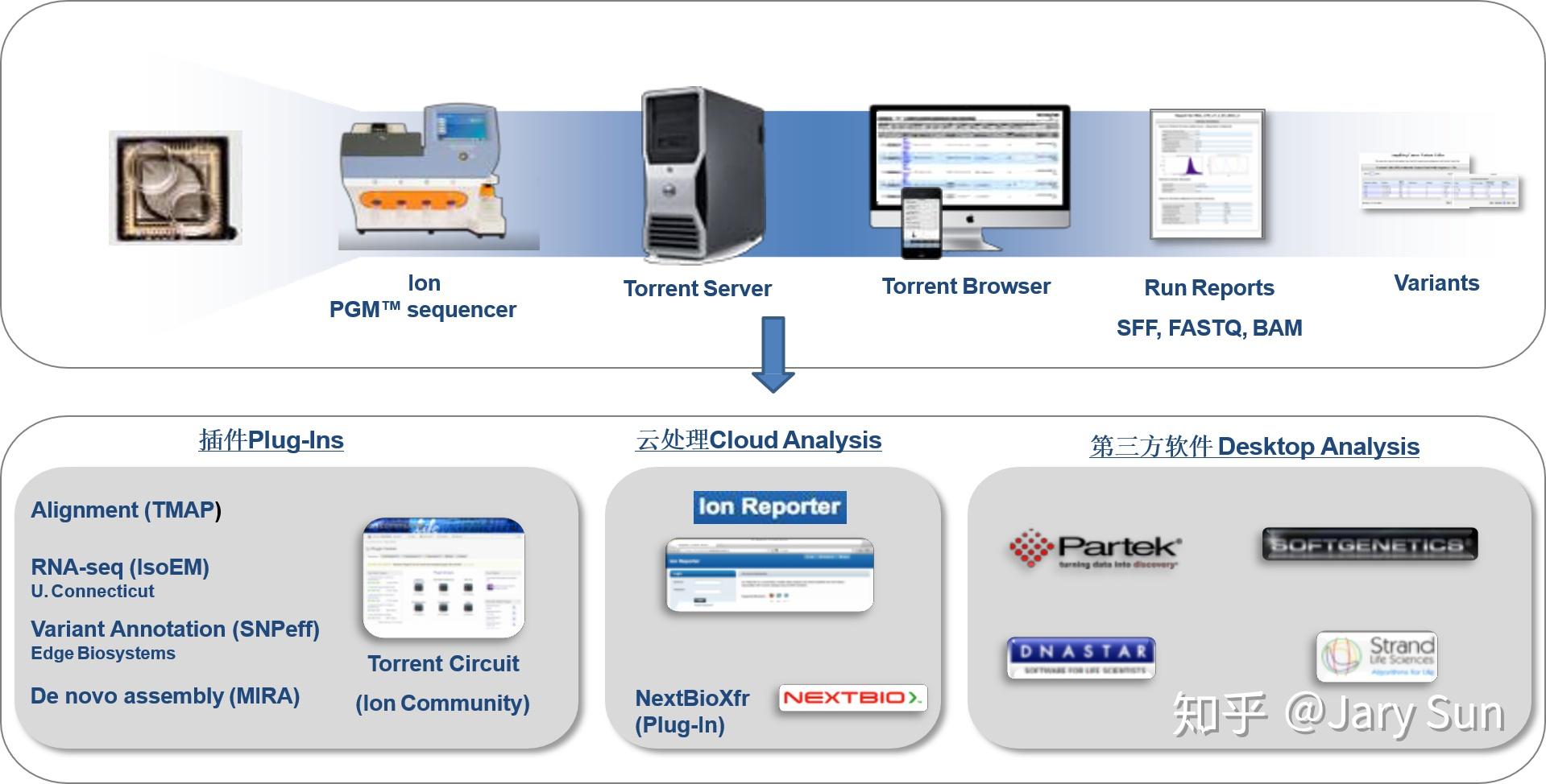 Ion Torrent 基因分析仪——介绍及原理 - 知乎