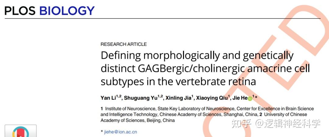 PloS Biol︱中科院脑智卓越中心何杰团队发现脊椎动物视网膜方向选择性无长突细胞新亚型 - 知乎
