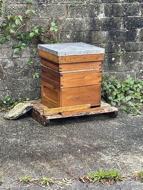 Sylvia Plath(西尔维亚·普拉斯)《The Arrival of the Bee Box》《蜜蜂盒的到来》解析 - 知乎