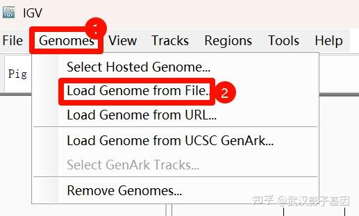IGV使用教程（图文） - 知乎