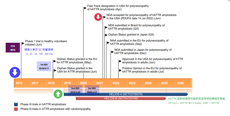 FDA 批准上市的 siRNA 药物非临床药效学研究 —— 复盘与启示 - 知乎