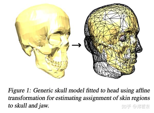 如何建模脸部肌肉：读Geometry-based Muscle Modeling for Facial Animation - 知乎