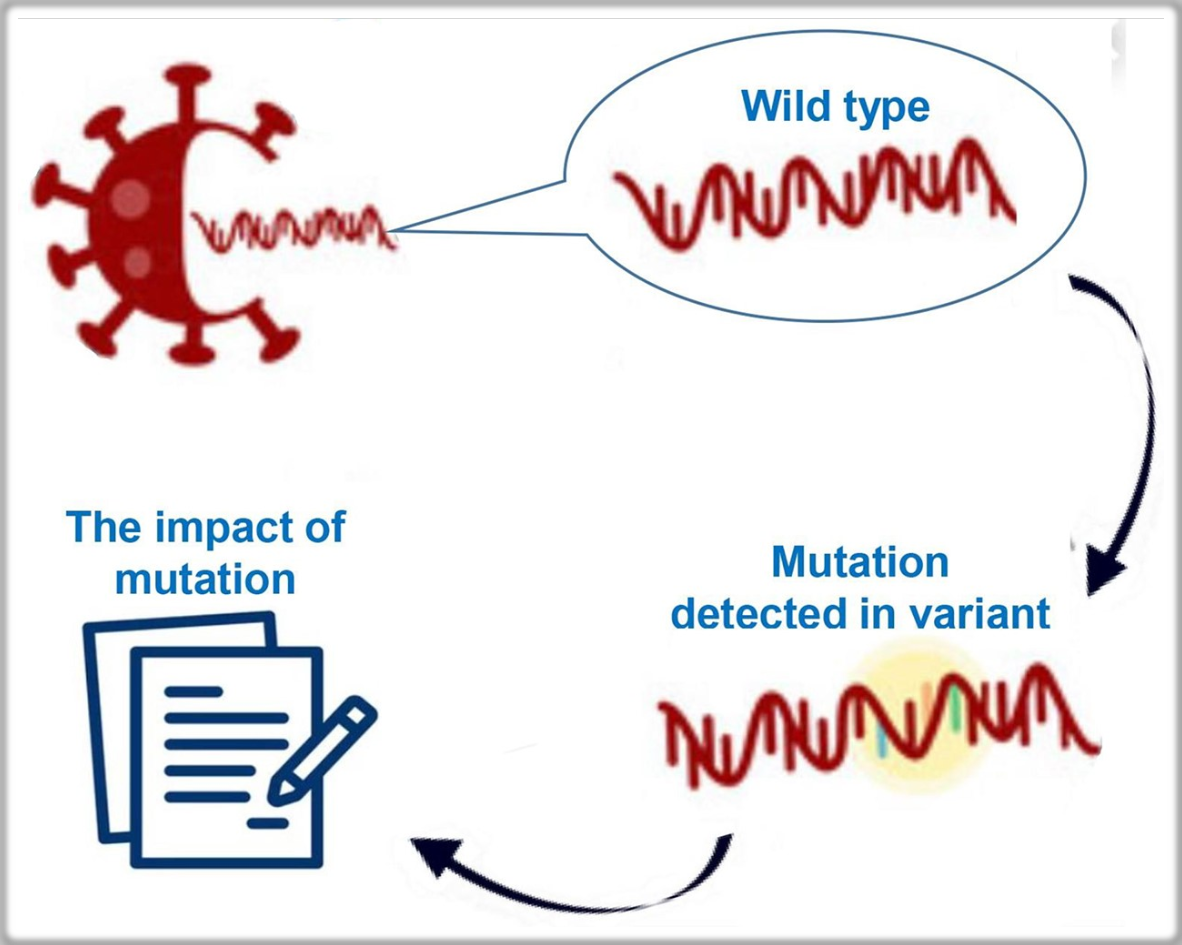 数据库介绍 | COV2Var，一个关于SARS-CoV-2遗传变异的功能注释数据库 - 知乎