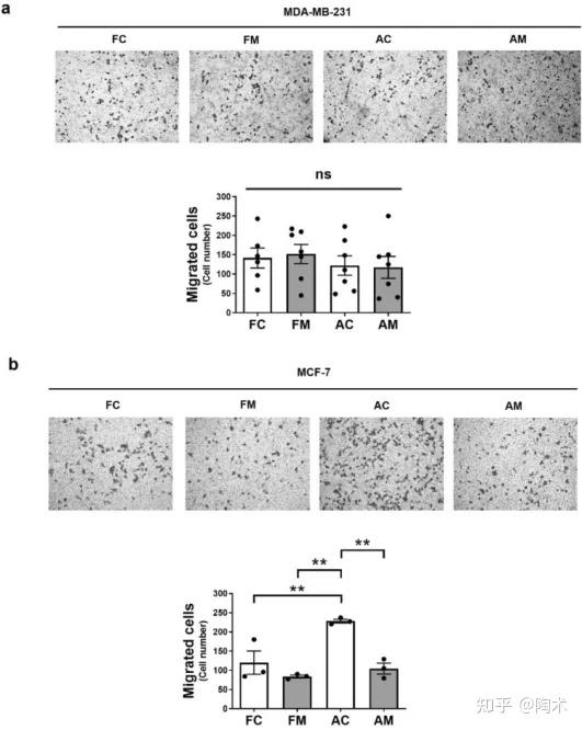 线粒体分裂抑制剂——Mdivi-1【TargetMol】 - 知乎