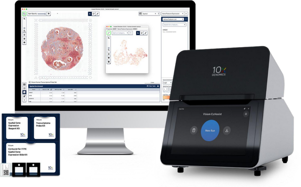 新品来袭丨博奥晶典引进10x Visium CytAssist空间组学组织分析物转移系统 - 知乎