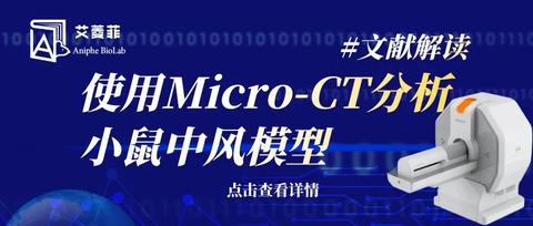文献解读：小鼠中风模型 高分辨率micro-CT成像:从梗死表征到自动区域分割 - 知乎