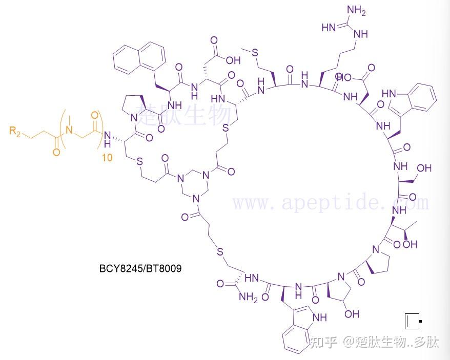 BT8009；Nectin-4为靶点的毒素偶联物；Nectin-4特异性双环肽 Cas: 2748001-89-8 - 知乎