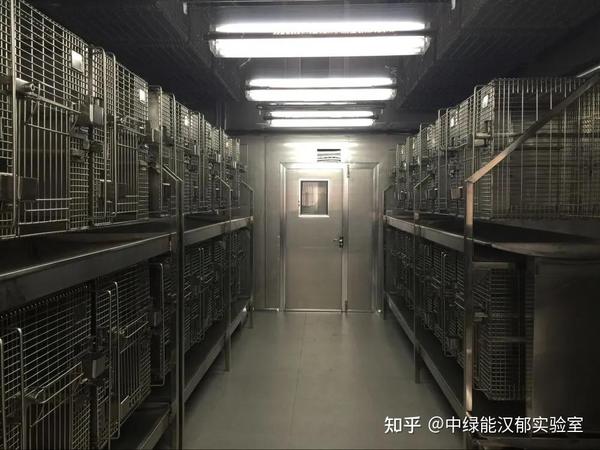 SPF级别动物实验室设计之动物实验室：工艺、水电、装饰设计 - 知乎