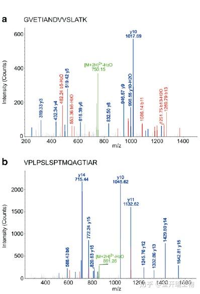 科研集市-8丨利用CoIP-MS高效筛选体内互作蛋白 - 知乎