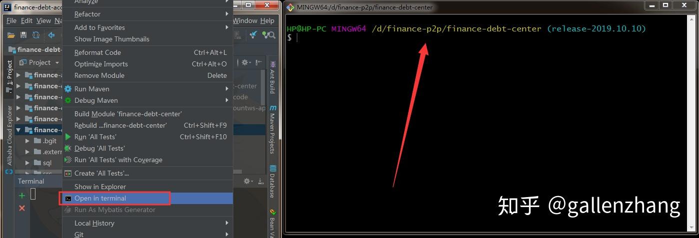IntelliJ IDEA的Terminal下Git命令乱码问题 - 知乎