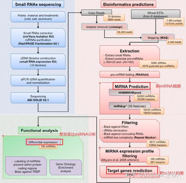 Omics精进07|转录组之mRNA|miRNA|lncRNA|circRNA测序简介 - 知乎