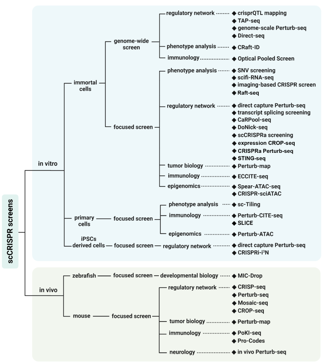 Adv Sci 综述｜范骁辉/王毅团队评述基于CRISPR和单细胞组学的大规模基因筛选技术及其应用 - 知乎