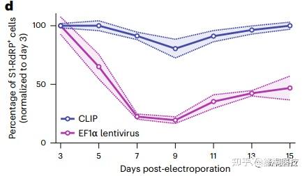 新型基因递送工具 | 非整合型慢病毒（IDLV） - 知乎