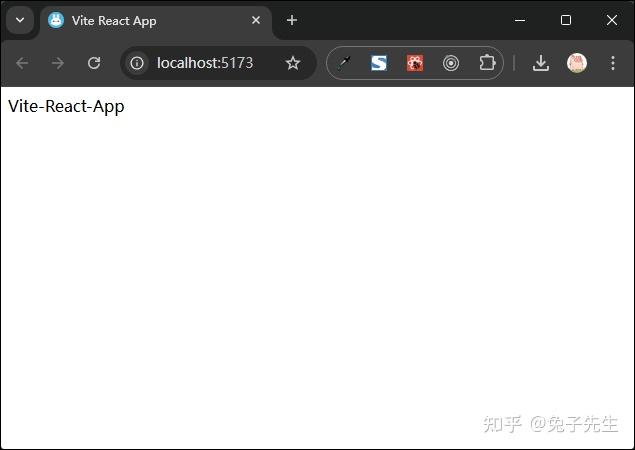 2025新春版：轻松搞定Vite6+React19全家桶 - 知乎