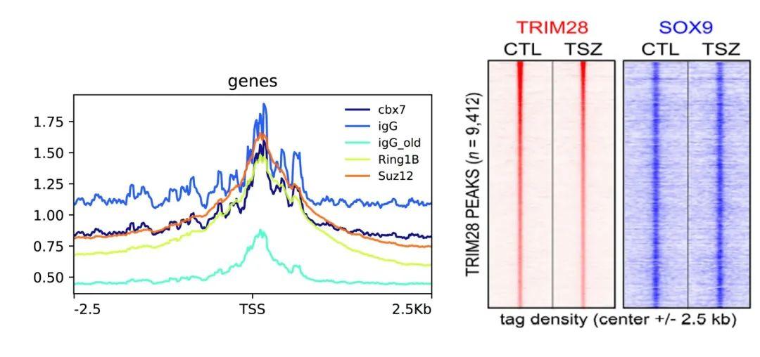 一文讲明白ChIP-seq：高分文章里为什么做ChIP-seq? - 知乎