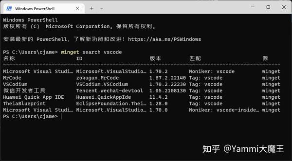 如何使用winget彻底替代各种管家的软件管理工具 - 知乎