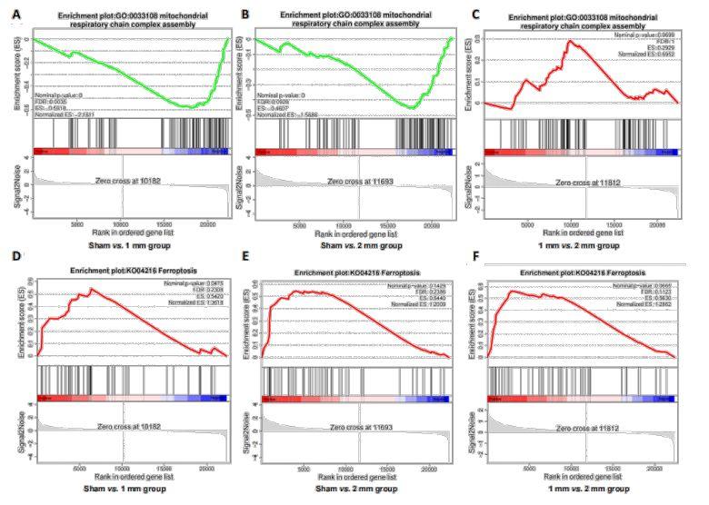 NRR：四医大武胜昔团队报道创伤性脑损伤模型线粒体评估新模式 - 知乎