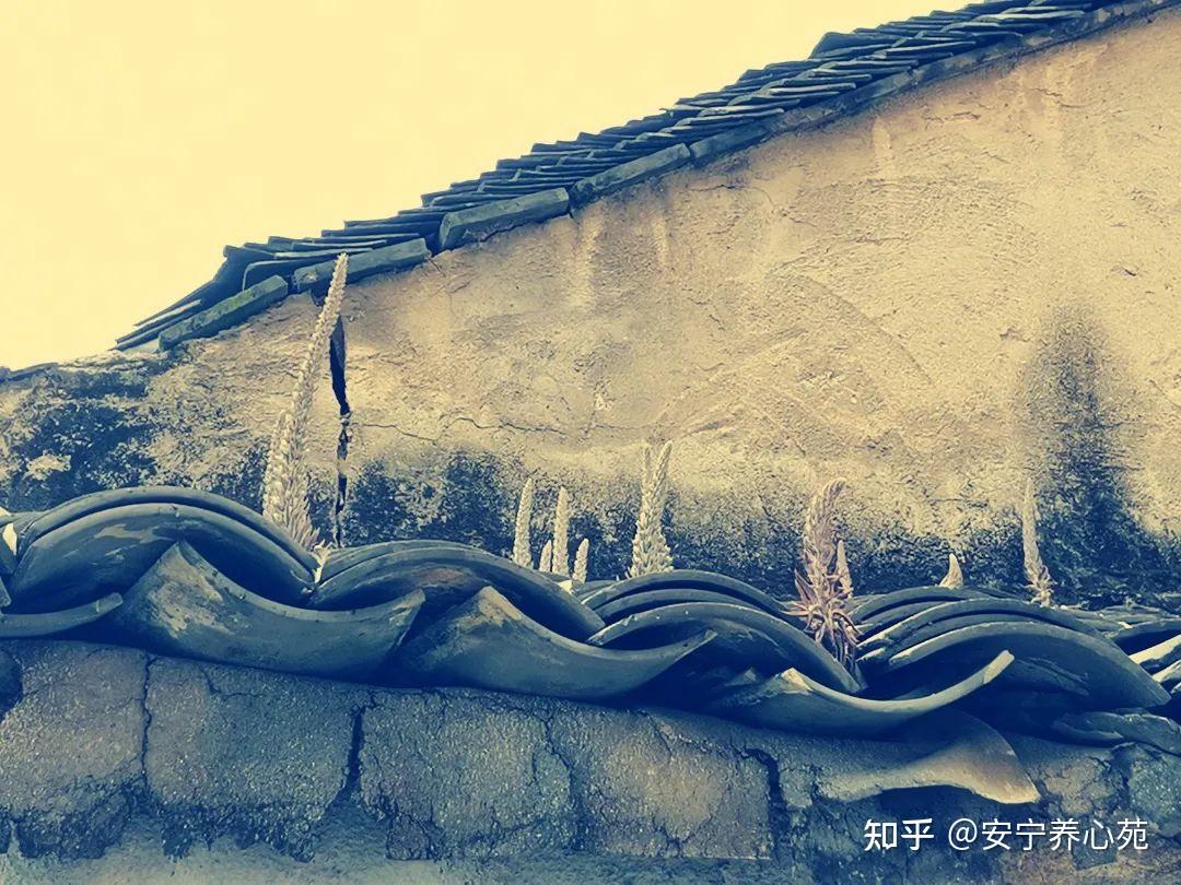 安庆大王庙街 - 知乎