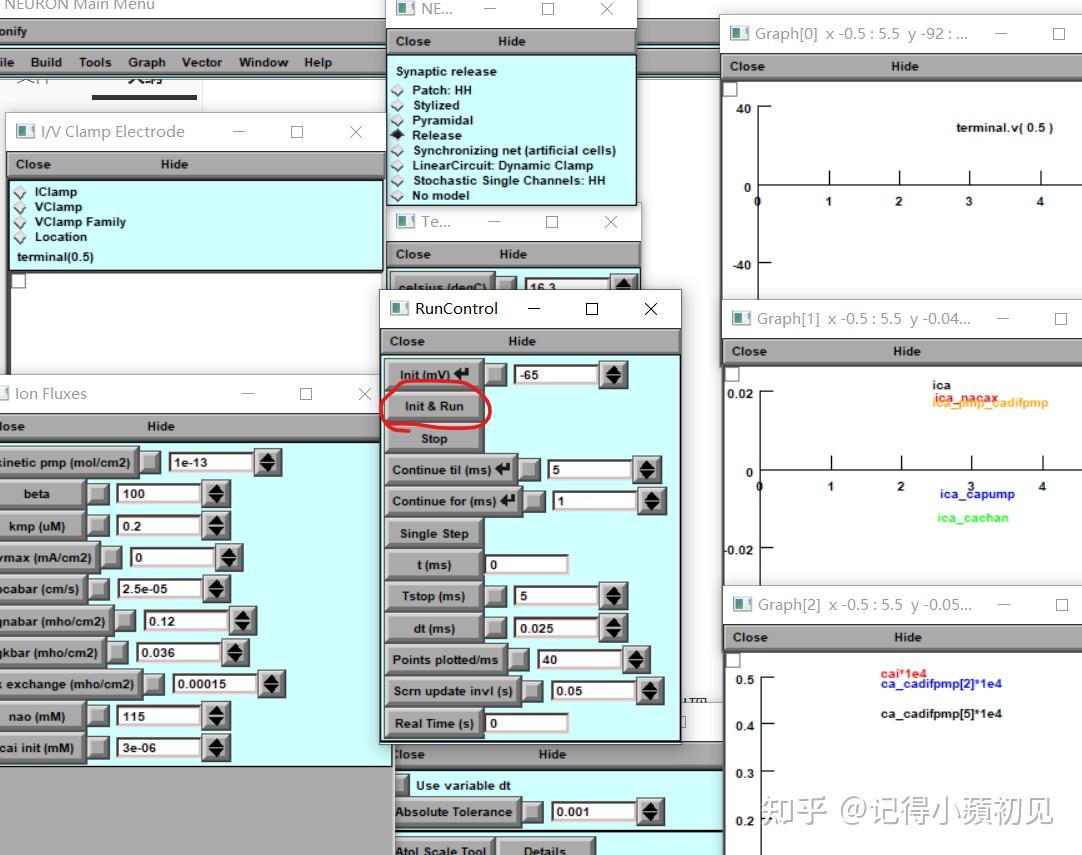 细说我用过的三款计算神经科学软件：Brian2、BrainPy和NEURON - 知乎