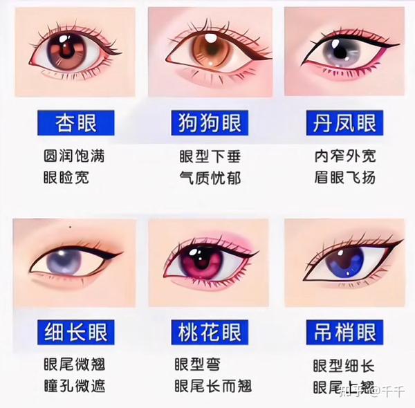 让好朋友看看你是什么眼型 知乎
