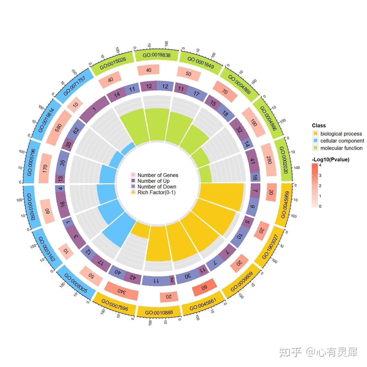 R语言如何绘制富集圈图 - 知乎