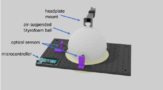 Schaffer-Nishimura Lab 开发微型 VR 系统 - 知乎