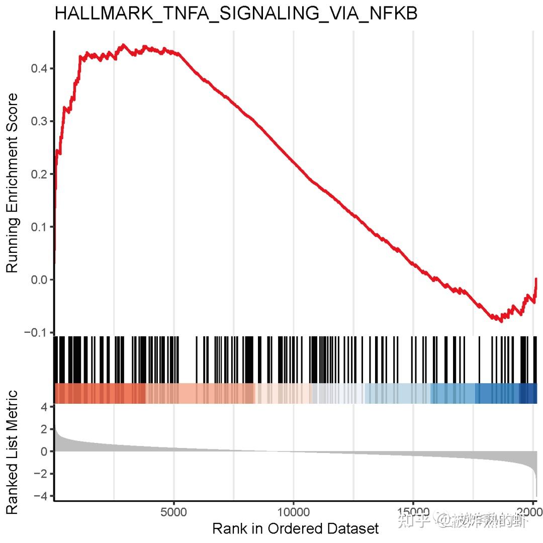 基因集富集分析（GSEA）基础 - 知乎