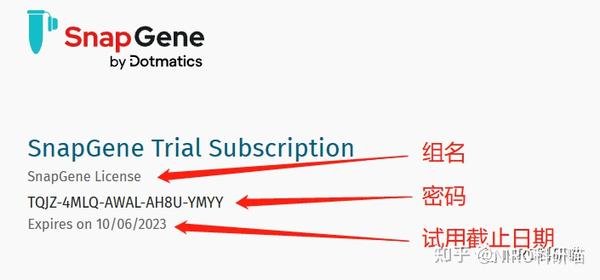 超详细的保姆级SnapGene软件应用汇总，建议收藏备用！！！ - 知乎