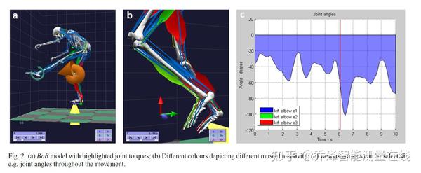OpenSim、BoB、AnyBody等生物力学分析软件 哪个更好用、更适用？ - 知乎